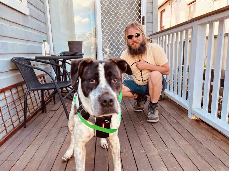 Rescue dog Rocket gives Jax newfound paw-pose | Newcastle Weekly