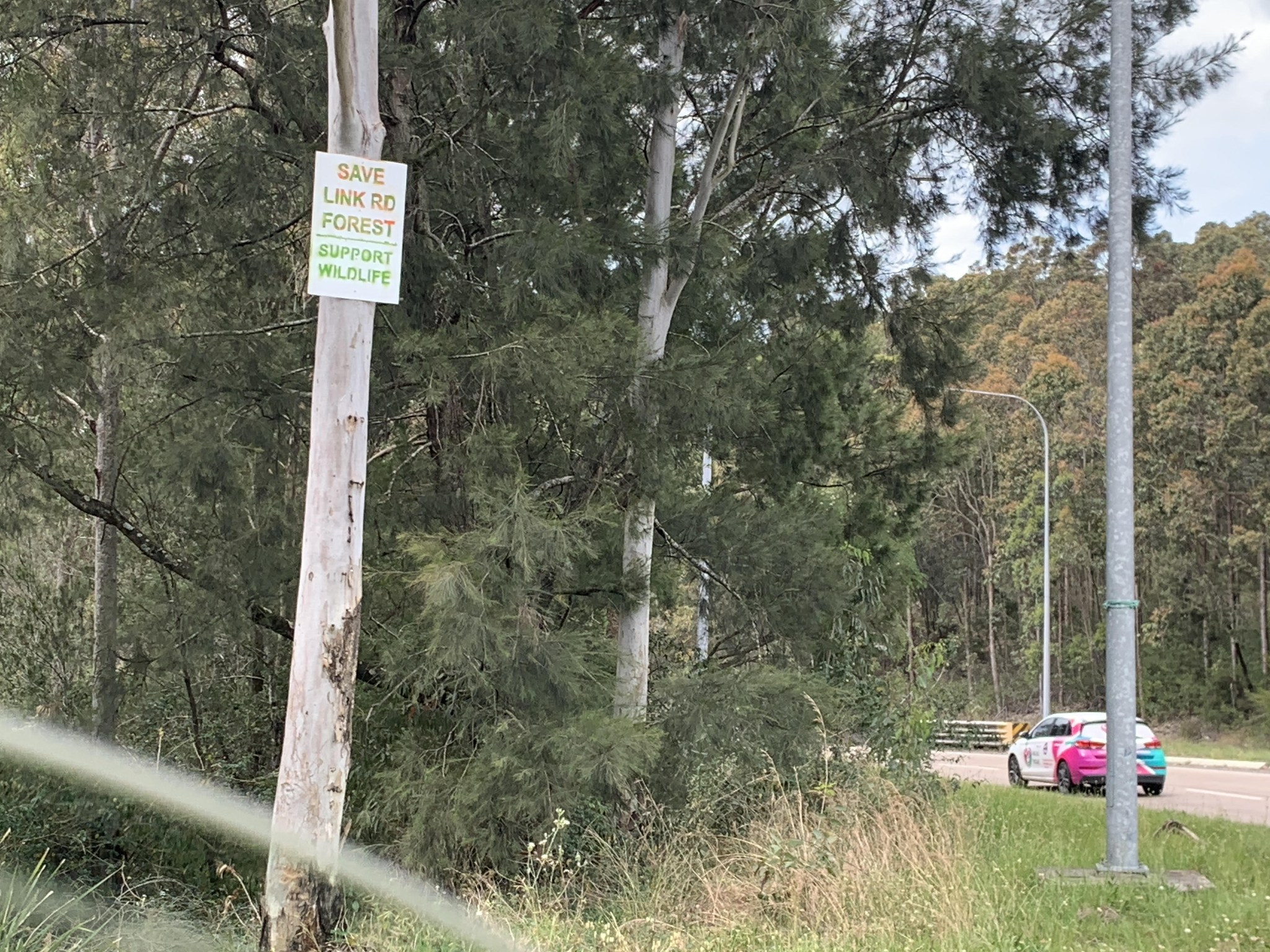 Council endorses national park for Link Road Forest | Newcastle Weekly