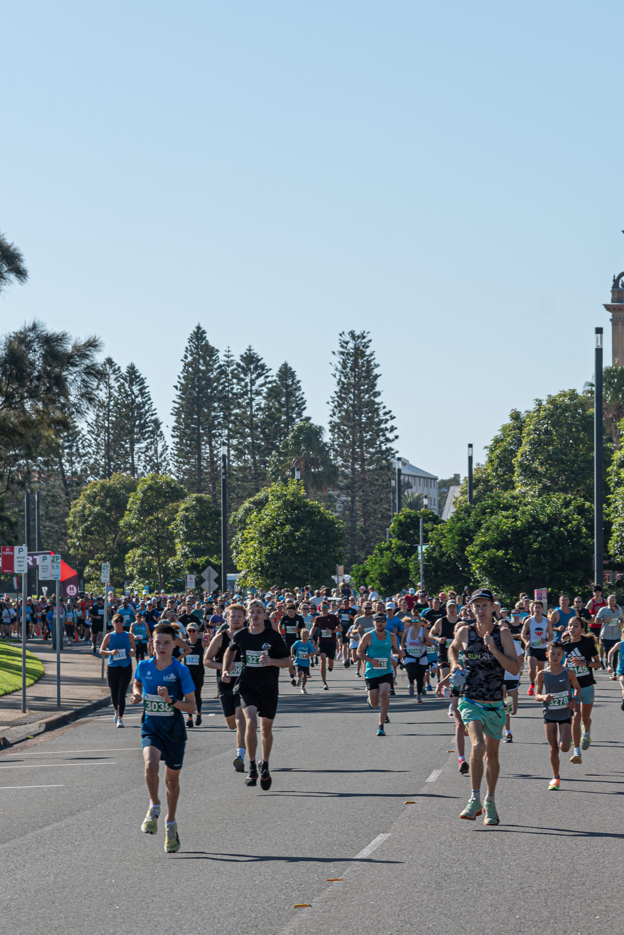 Hill to Harbour returns to Newcastle in March | Newcastle Weekly