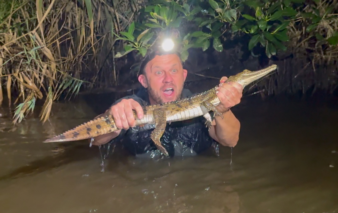 Wallsend croc catcher reveals how 30-hour rescue mission unfolded ...
