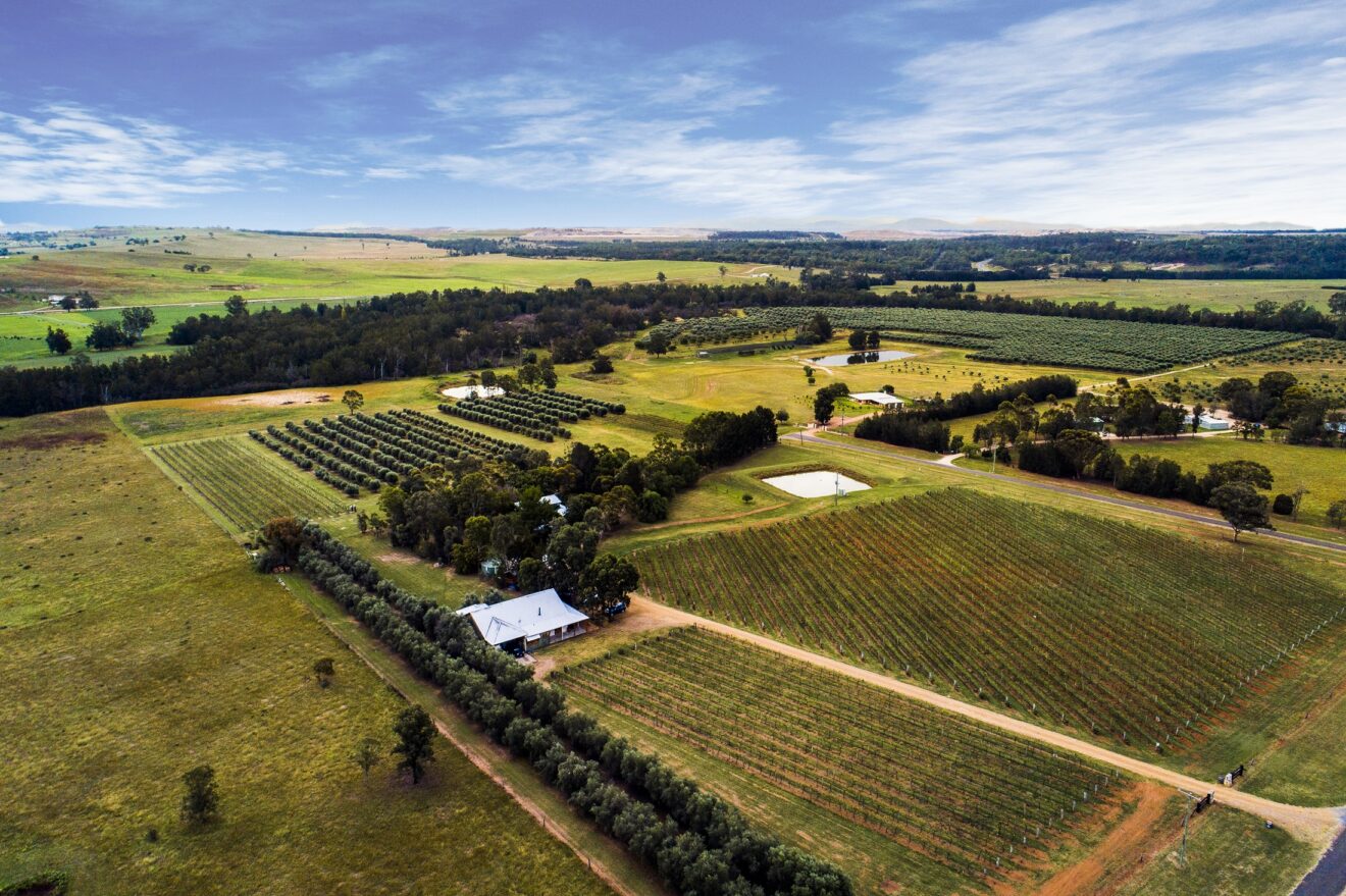 Broke goes for gold as top tiny tourism destination | Newcastle Weekly