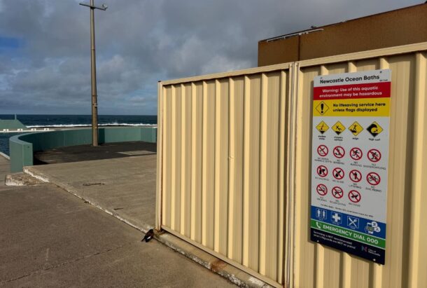 Debate grows over dogs at Newcastle Ocean Baths