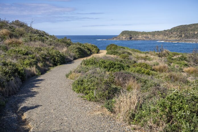Feedback sought on Caves Beach to Budgewoi Coastal Trail draft ...